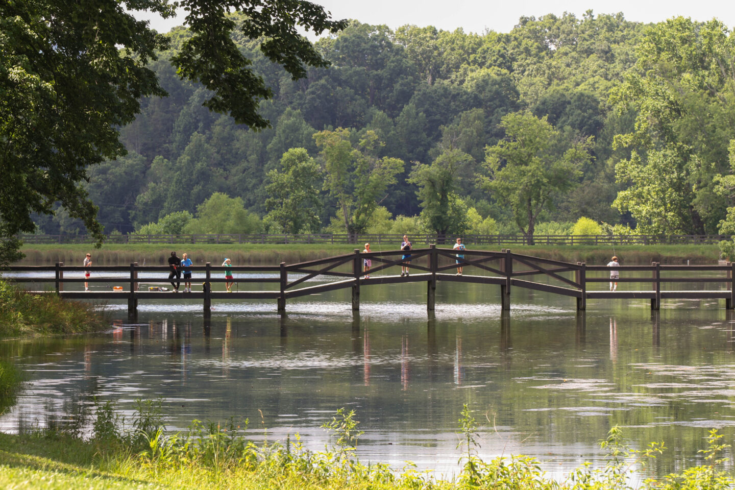 A fantastic first day! - Camp Timberlake